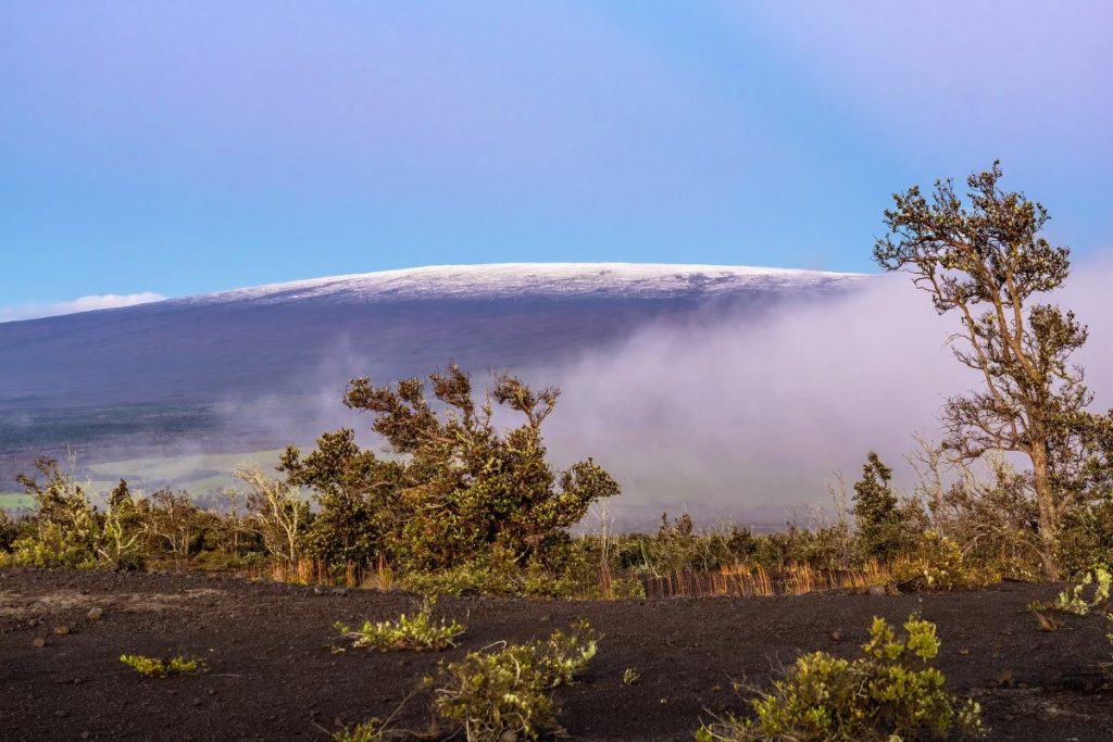 Gallery: Snow falls on Big Island summits : Big Island Now