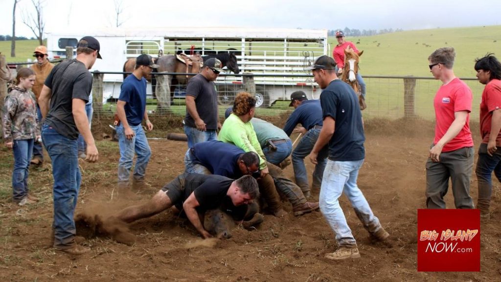 Soldiers get taste of paniolo lifestyle at Ho‘ilina Ranch on Big Island ...