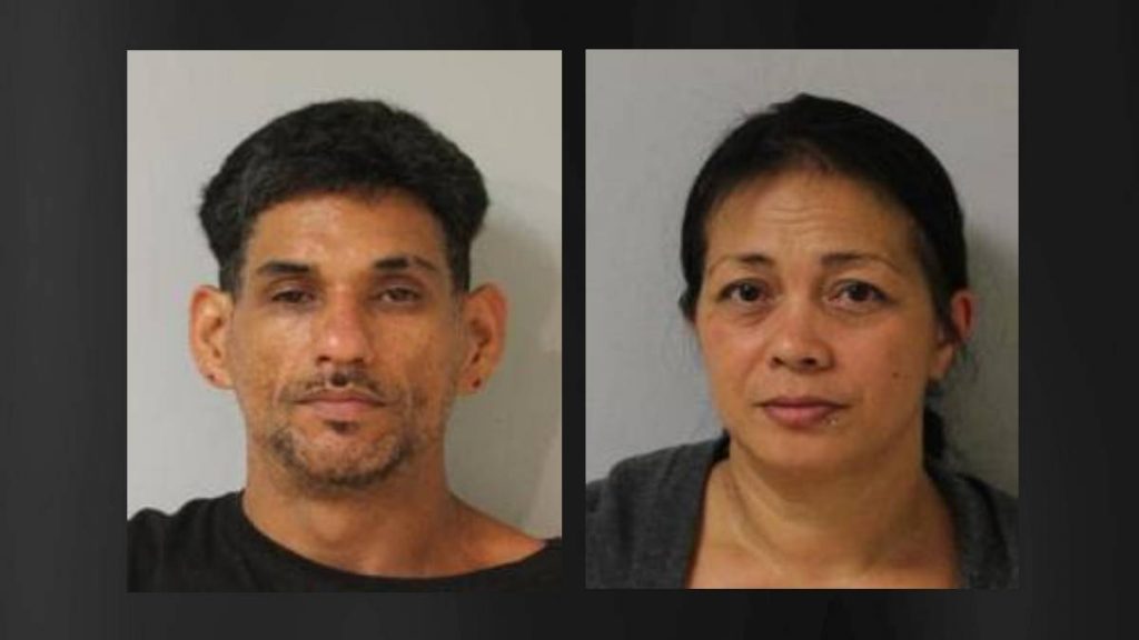 Puna couple charged with firearms, drug offenses after found sleeping ...