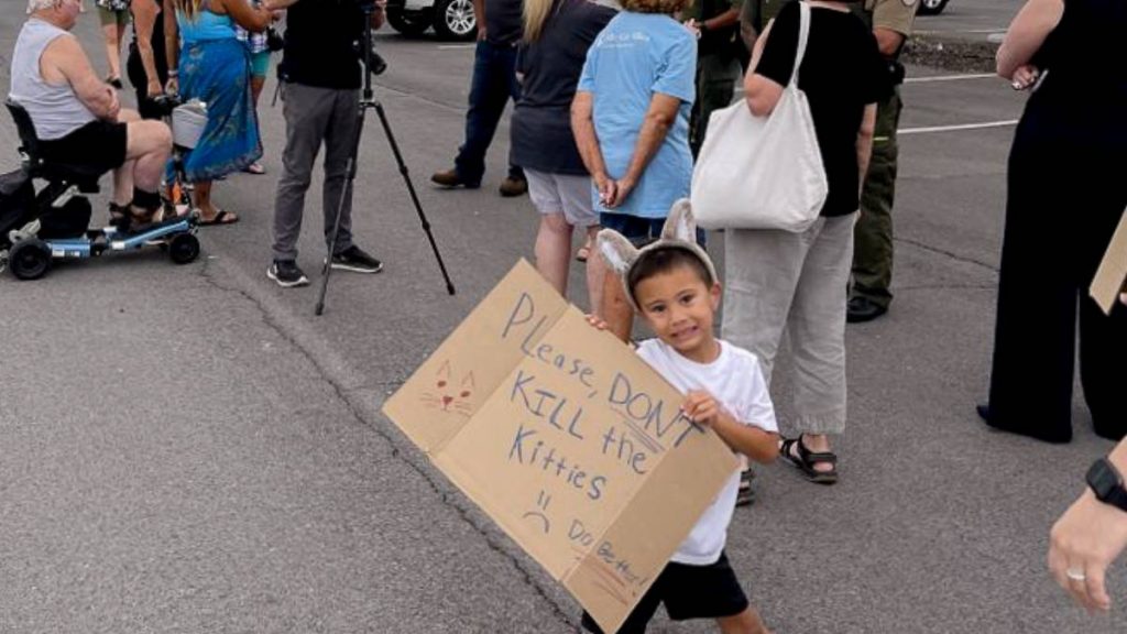 Protest at Big Island shopping center over state ordered removal of cat ...