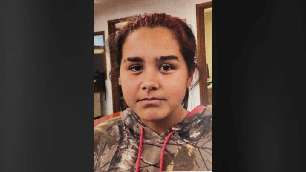 Hawai‘i Island police seek help finding teen girl : Big Island Now