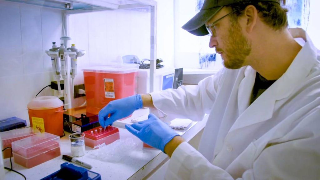 Scientific first: Researchers find traces of disease in dolphin poop ...