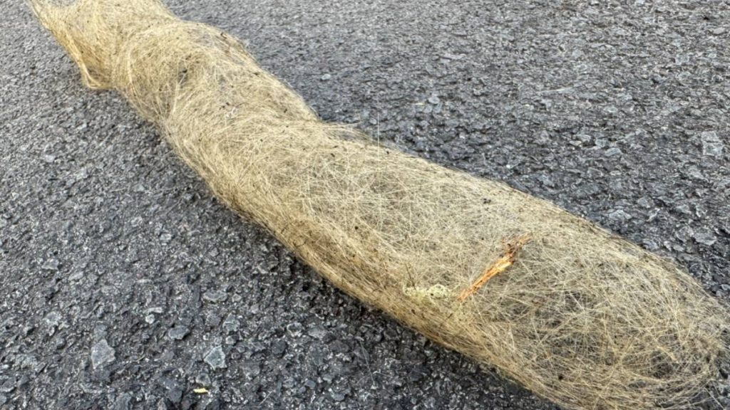 Volcano Watch: Recent lava fountains highlight Pele’s hair hazards ...