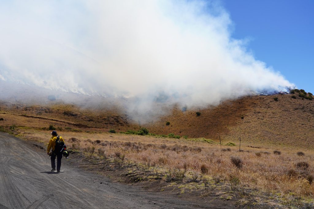 Update: Fire break established around Mana Road fire on Mauna Kea : Big ...