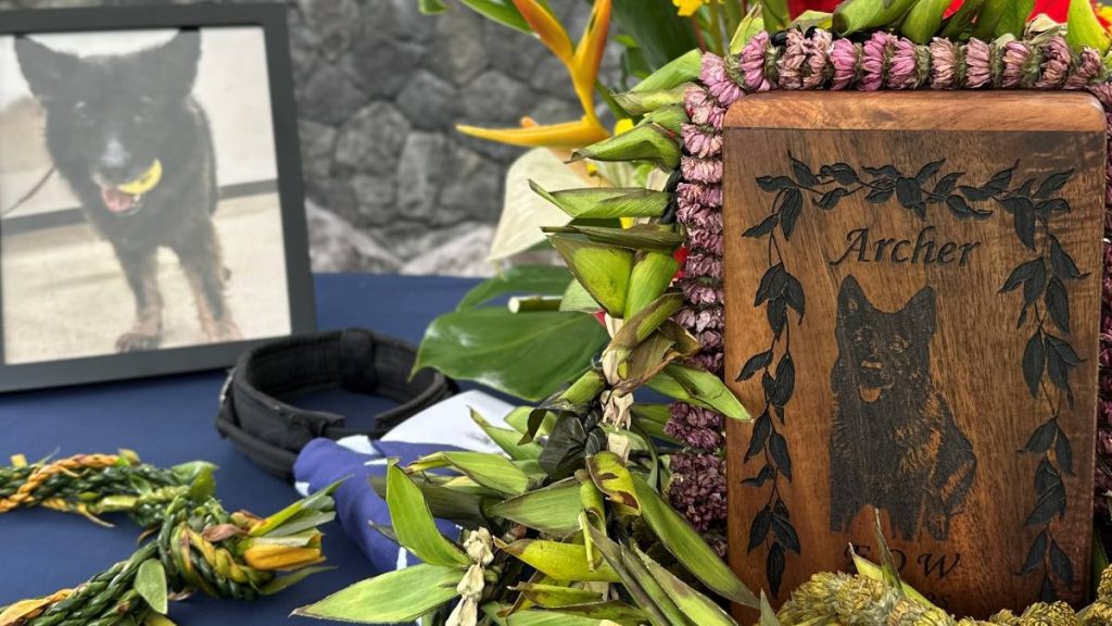 Hawai‘i Police Department honors life, service of K9 Archer with ...