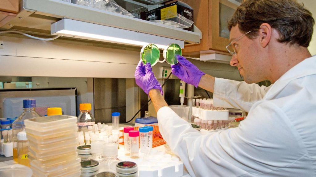 University of Hawaiʻi’s center for microbial oceanography marks 15 ...