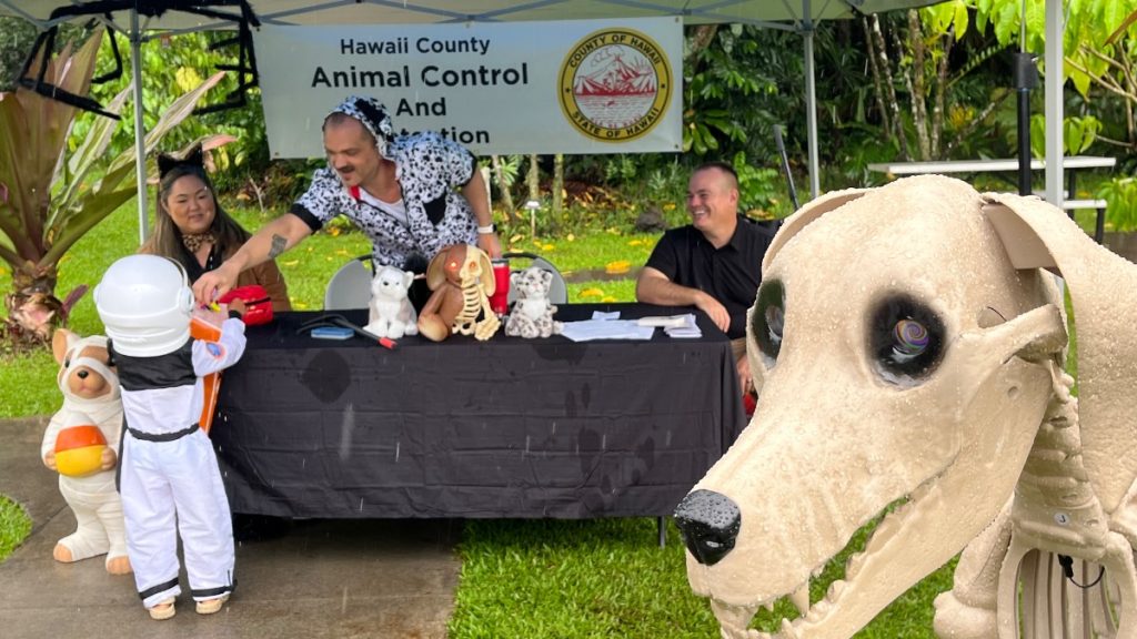 ‘Boo at the Zoo’ returns for spooktacular weekend on Hawaiʻi Island ...